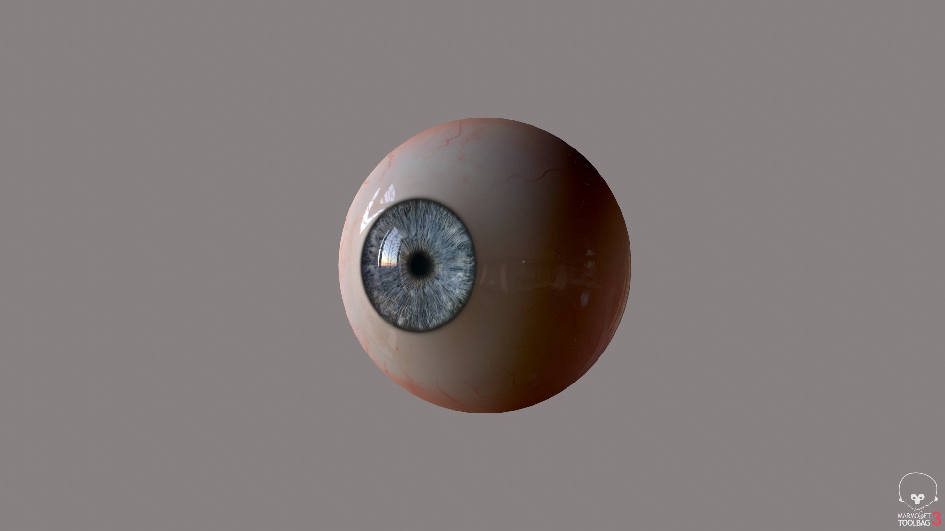 Eye 3d Model