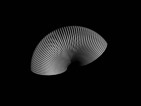 Free 3D Wire Models | TurboSquid