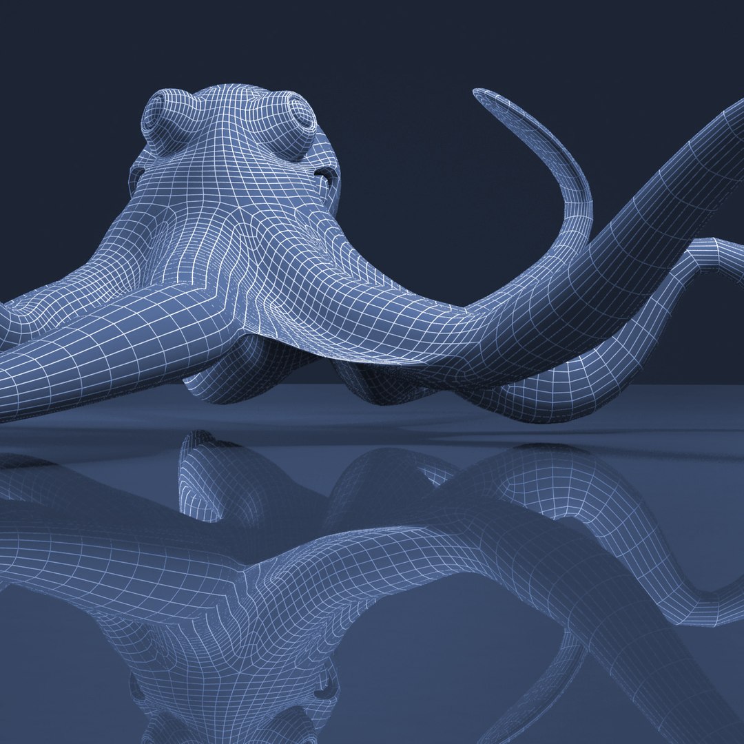 Rigged Giant Pacific Octopus 3d Model