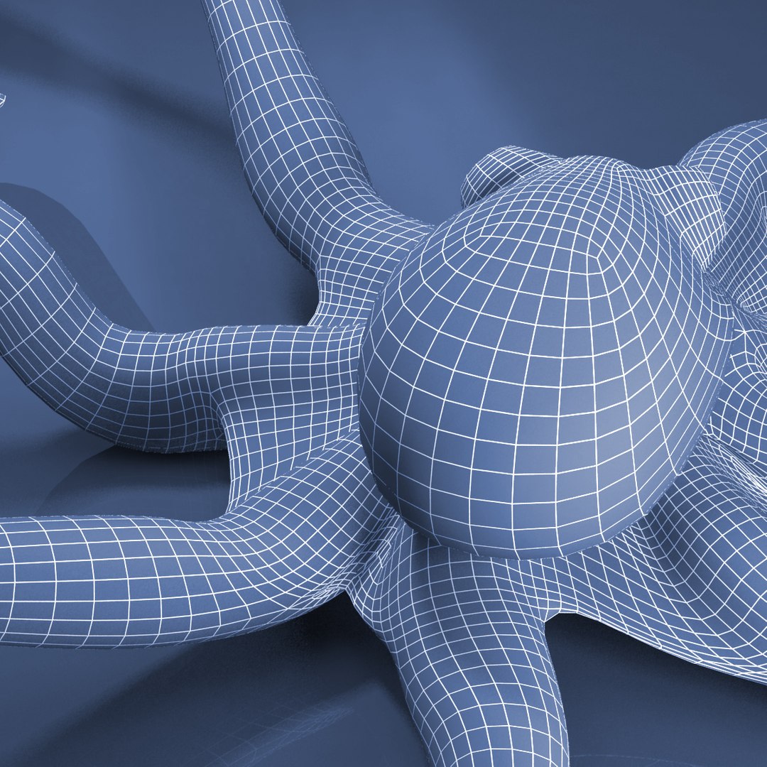 Rigged Giant Pacific Octopus 3d Model