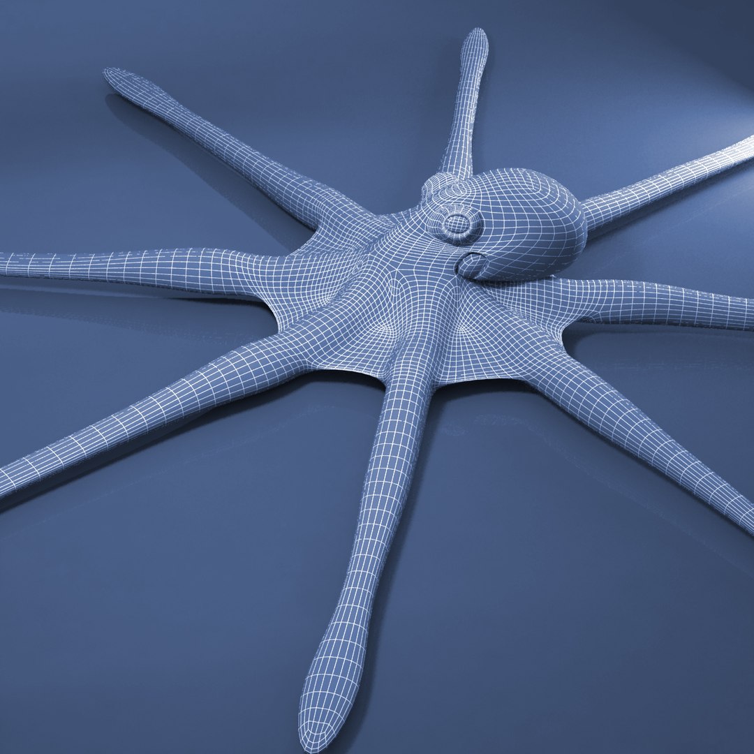 Rigged Giant Pacific Octopus 3d Model