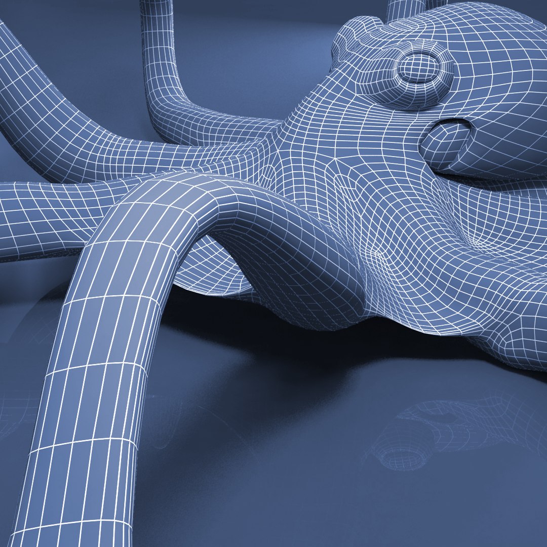 Rigged Giant Pacific Octopus 3d Model