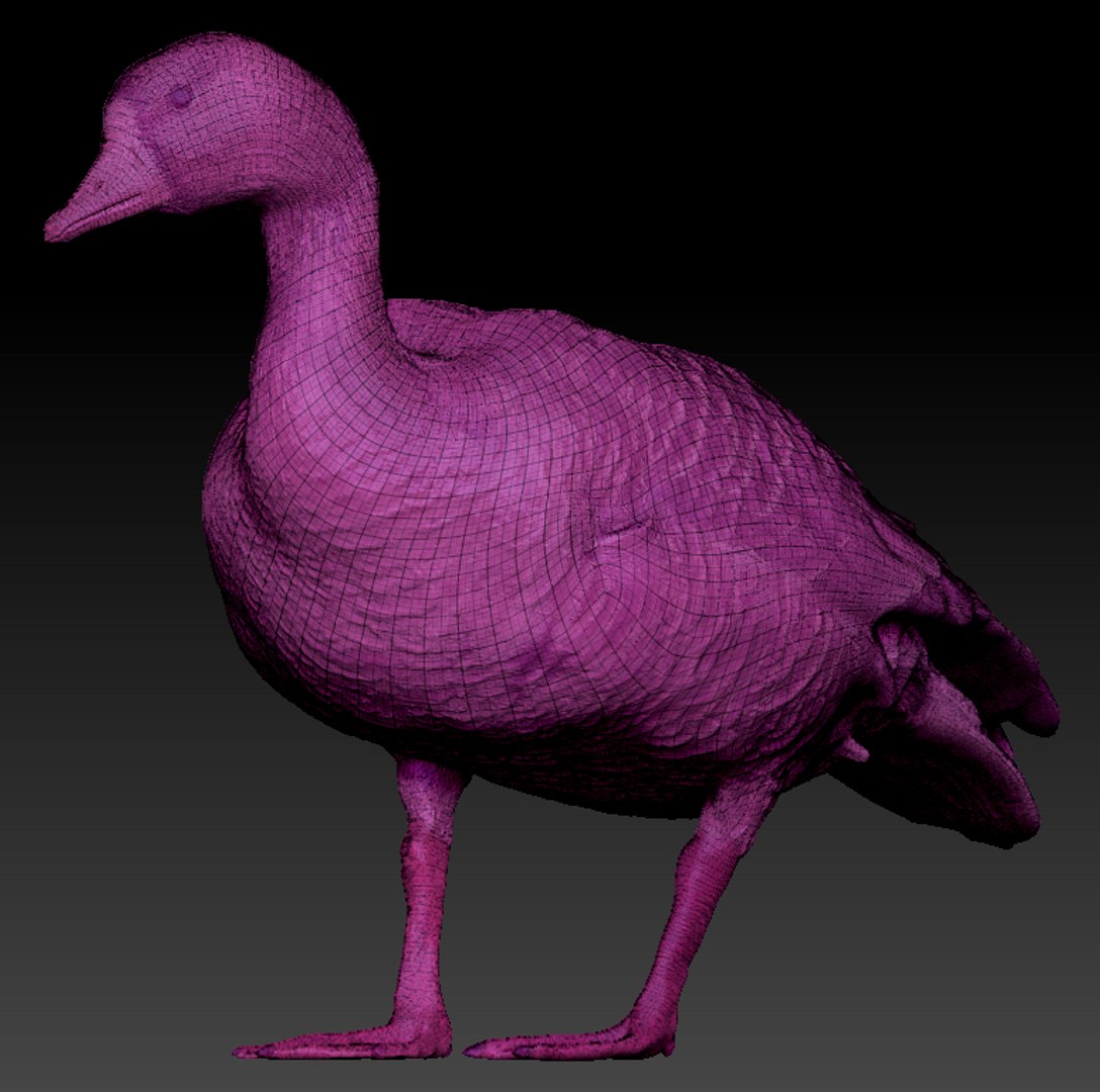 Goose 19 3D Model - TurboSquid 1765985