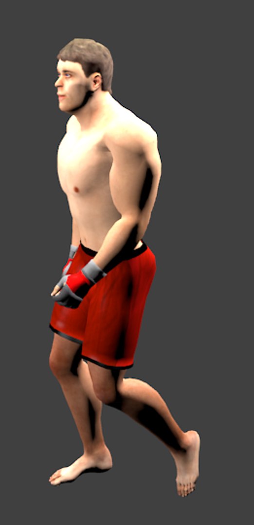 X Fighter Mma Animations