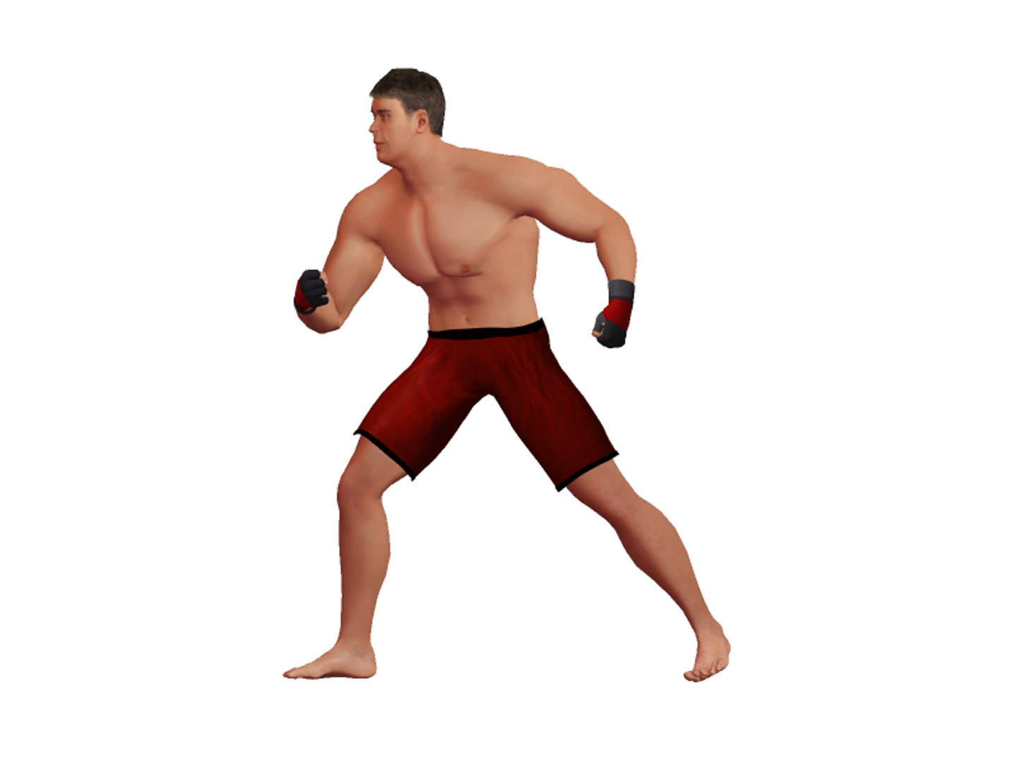 X Fighter Mma Animations