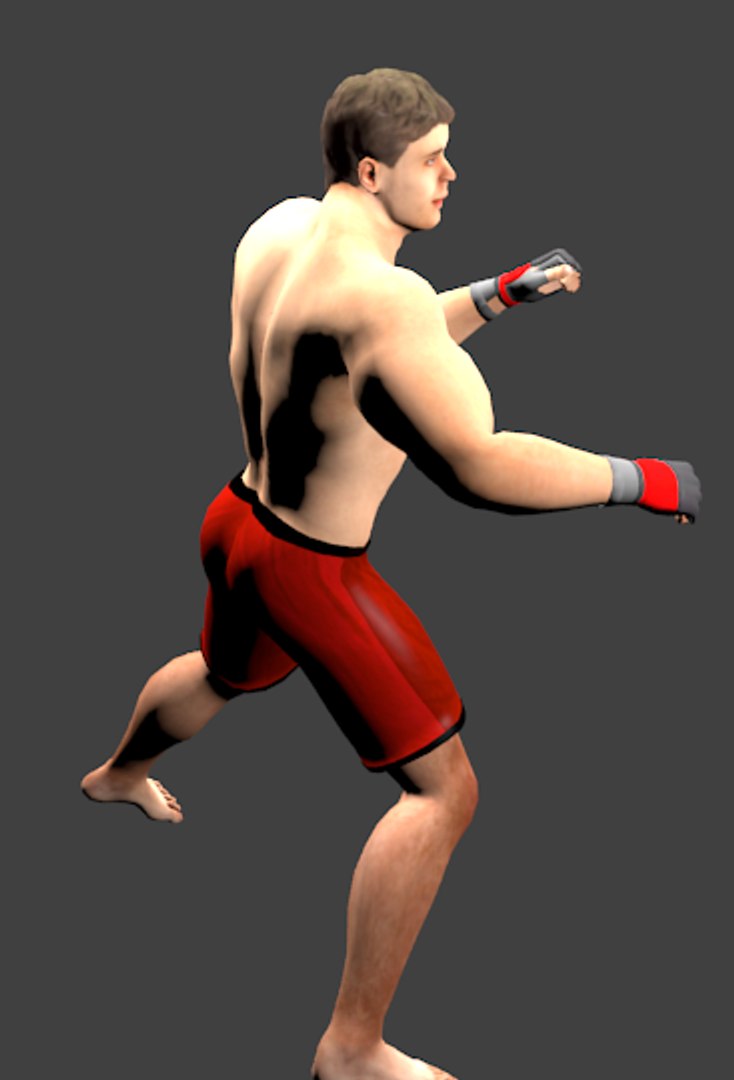 X Fighter Mma Animations