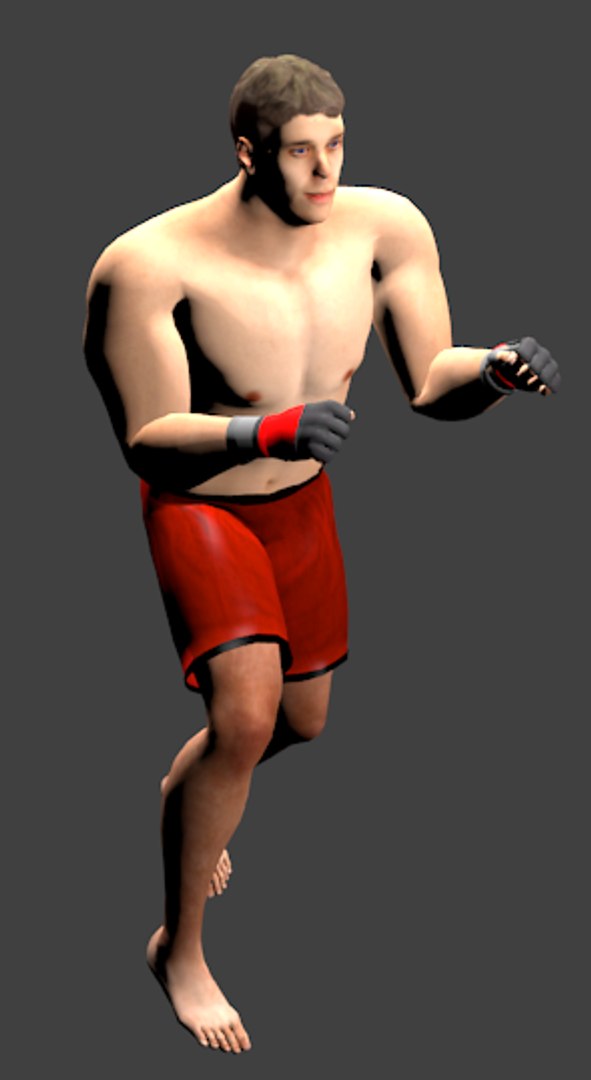 X Fighter Mma Animations