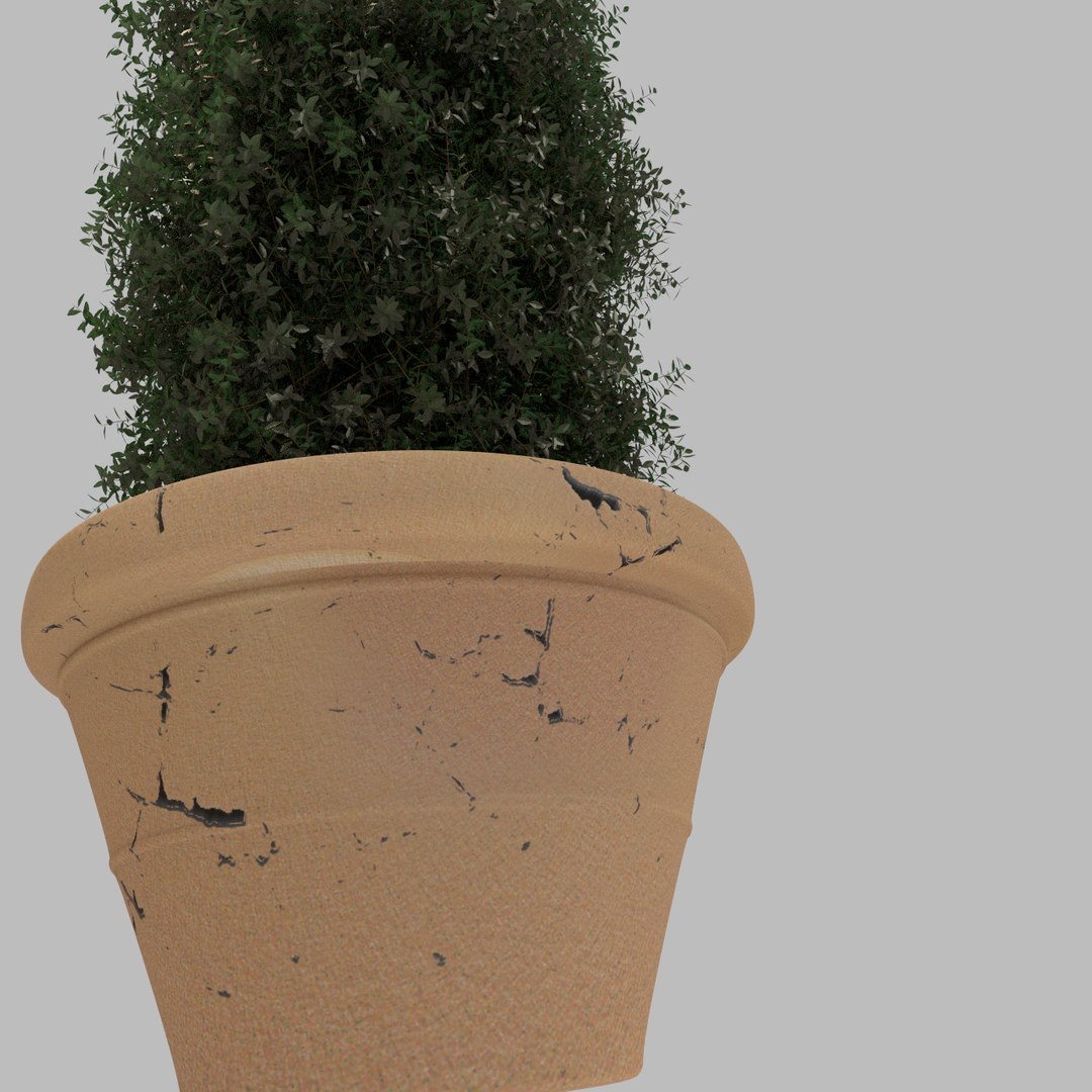 3d pot taper plant model