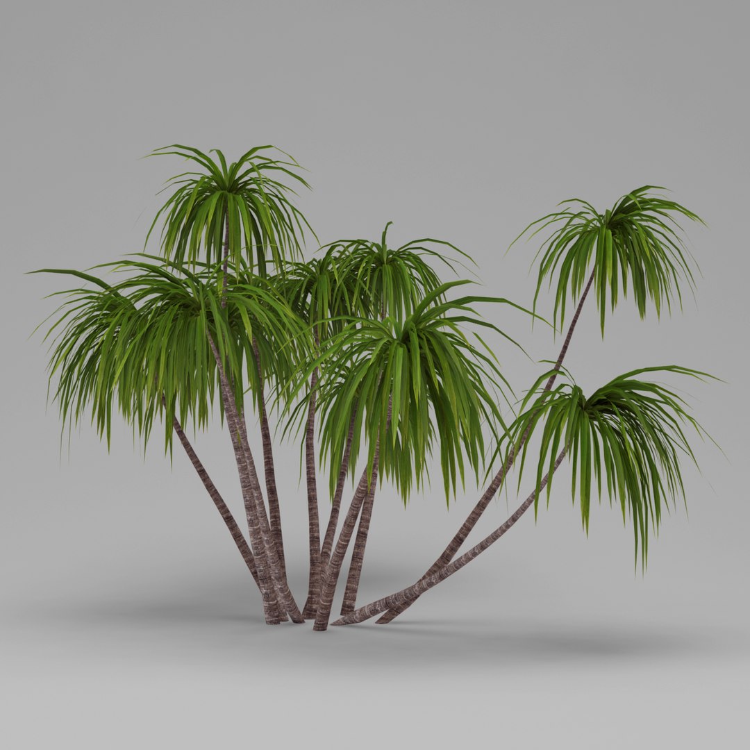 3d Palm 013 Model