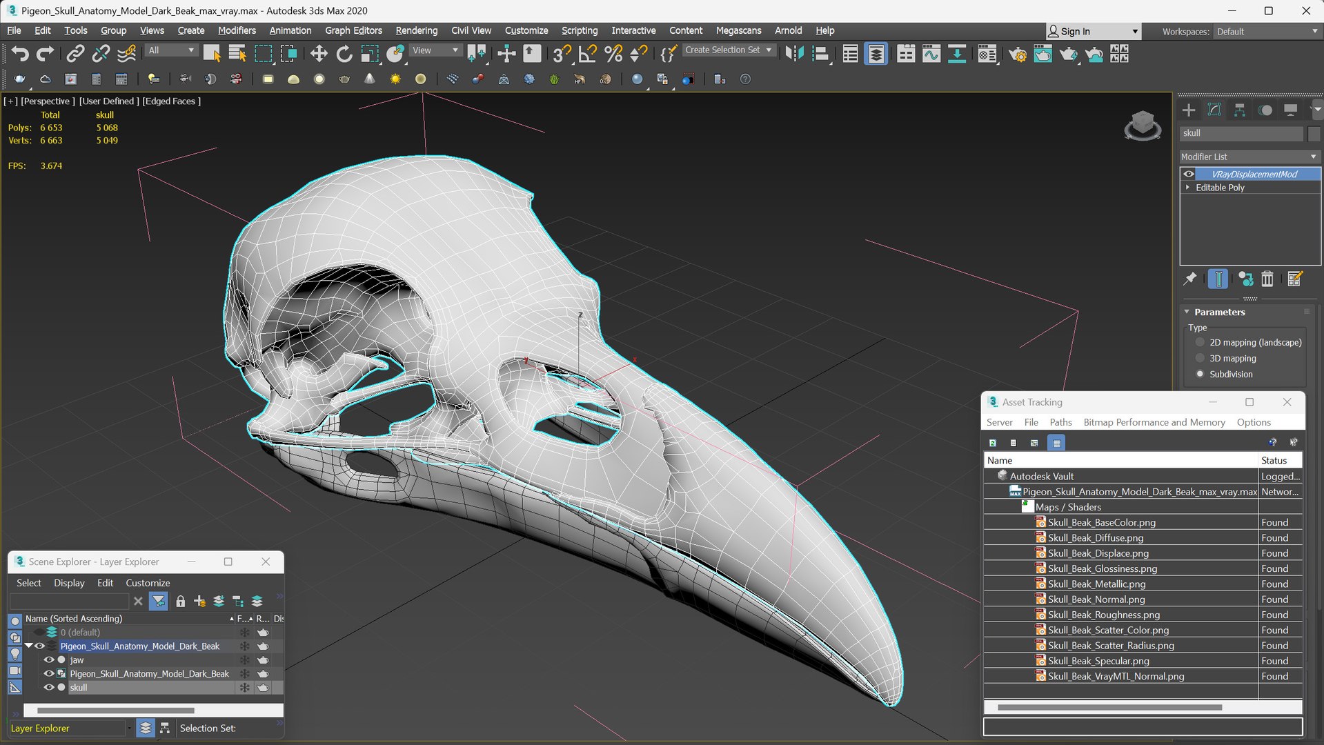 Crow Raven Skull Anatomy Model Dark Beak 3D Model - TurboSquid 2371624