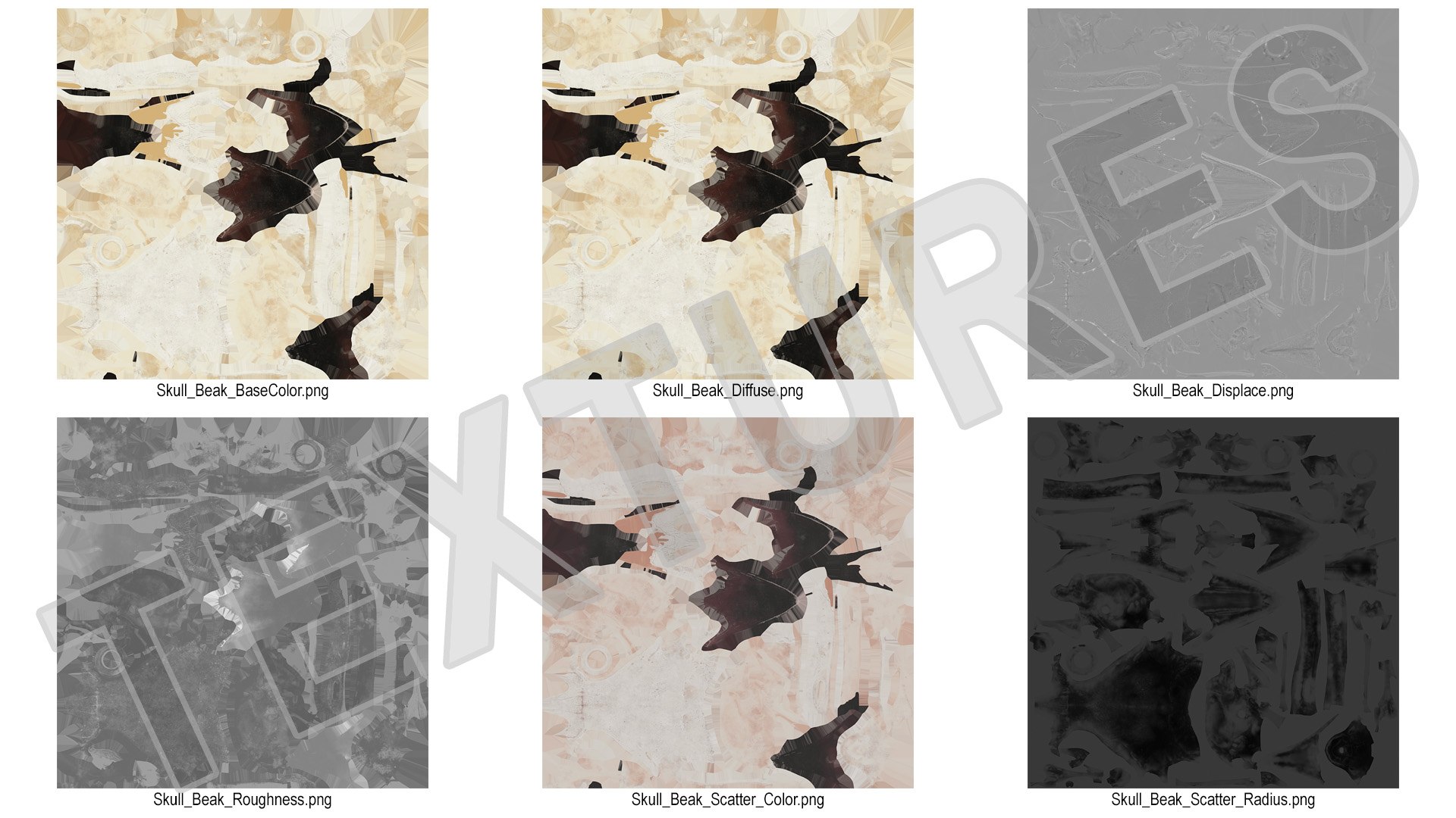 Crow Raven Skull Anatomy Model Dark Beak 3D Model - TurboSquid 2371624