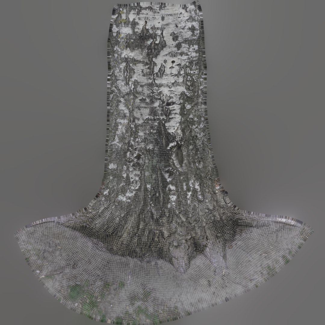 3D Birch Tree Trunk Scan 01 - TurboSquid 1715600