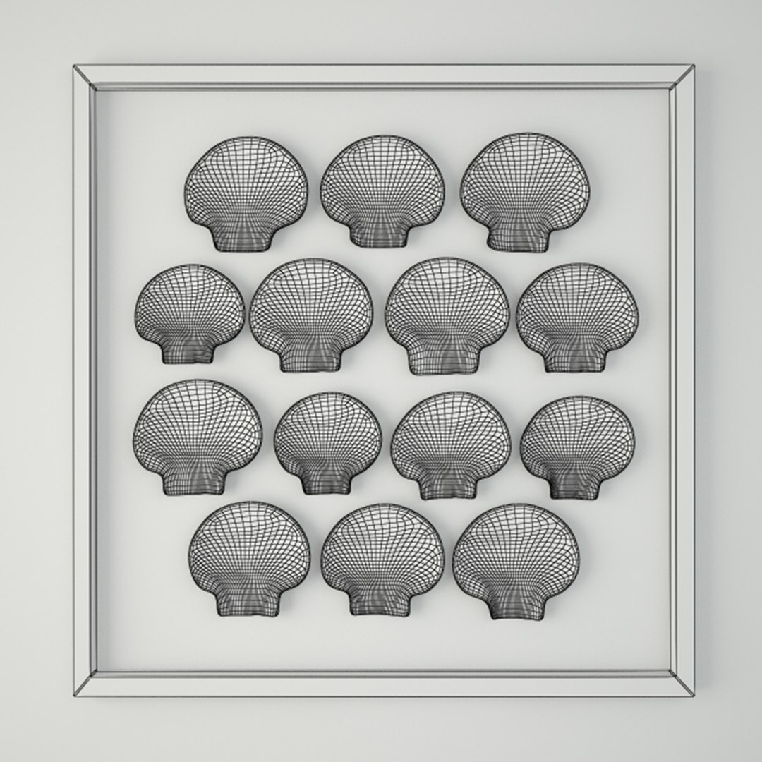 Scallop shells 3D model - TurboSquid 1215824