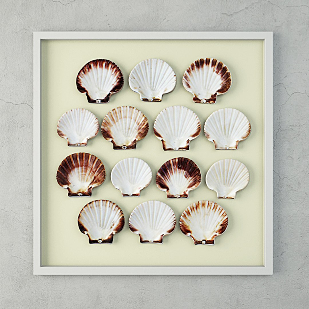 Scallop shells 3D model - TurboSquid 1215824