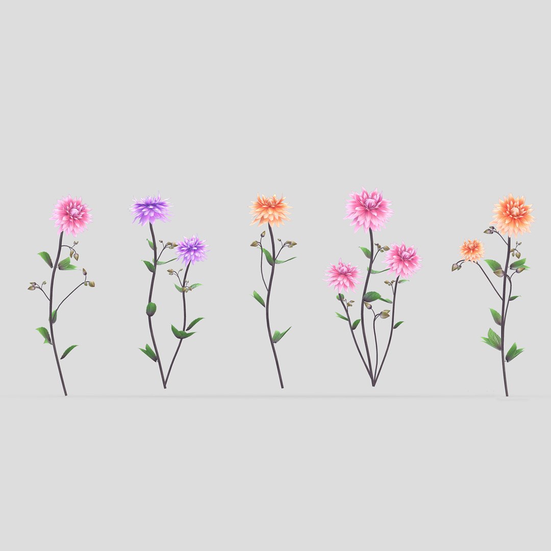 3D Model Okapis Sunset Flower Low Poly - TurboSquid 2366313