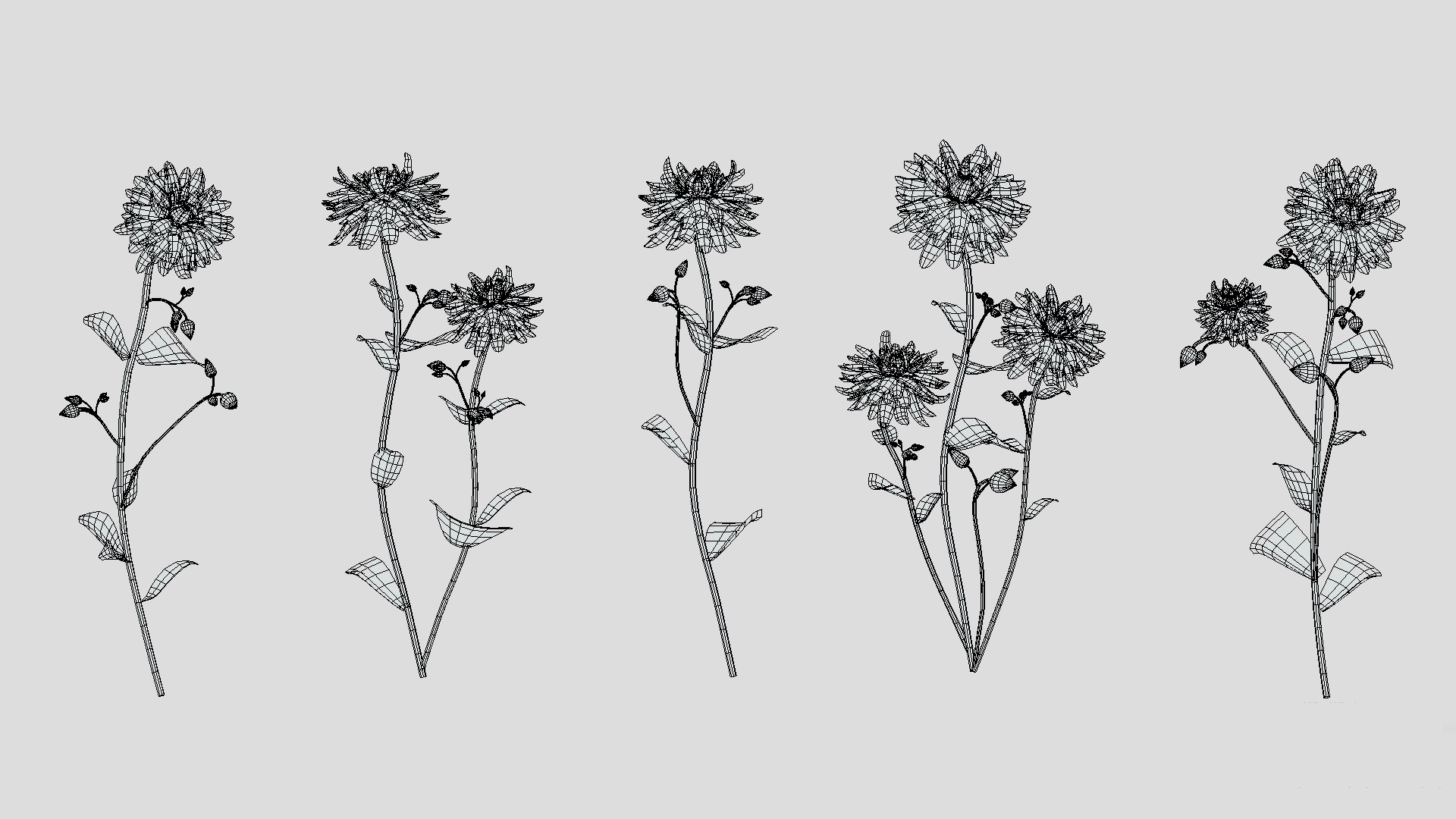 3D Model Okapis Sunset Flower Low Poly - TurboSquid 2366313