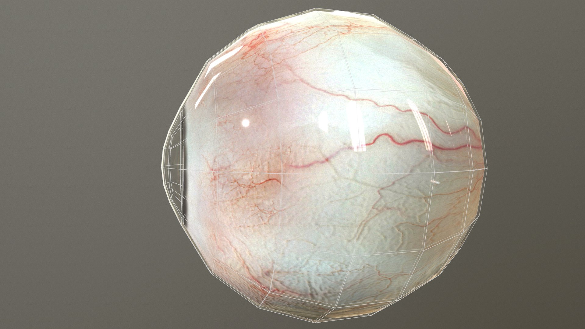 Eye Realistic Modeled Model - TurboSquid 1291402