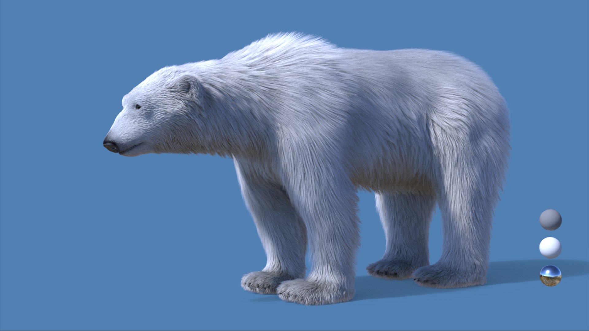 3d Model Realistic Polar Bear