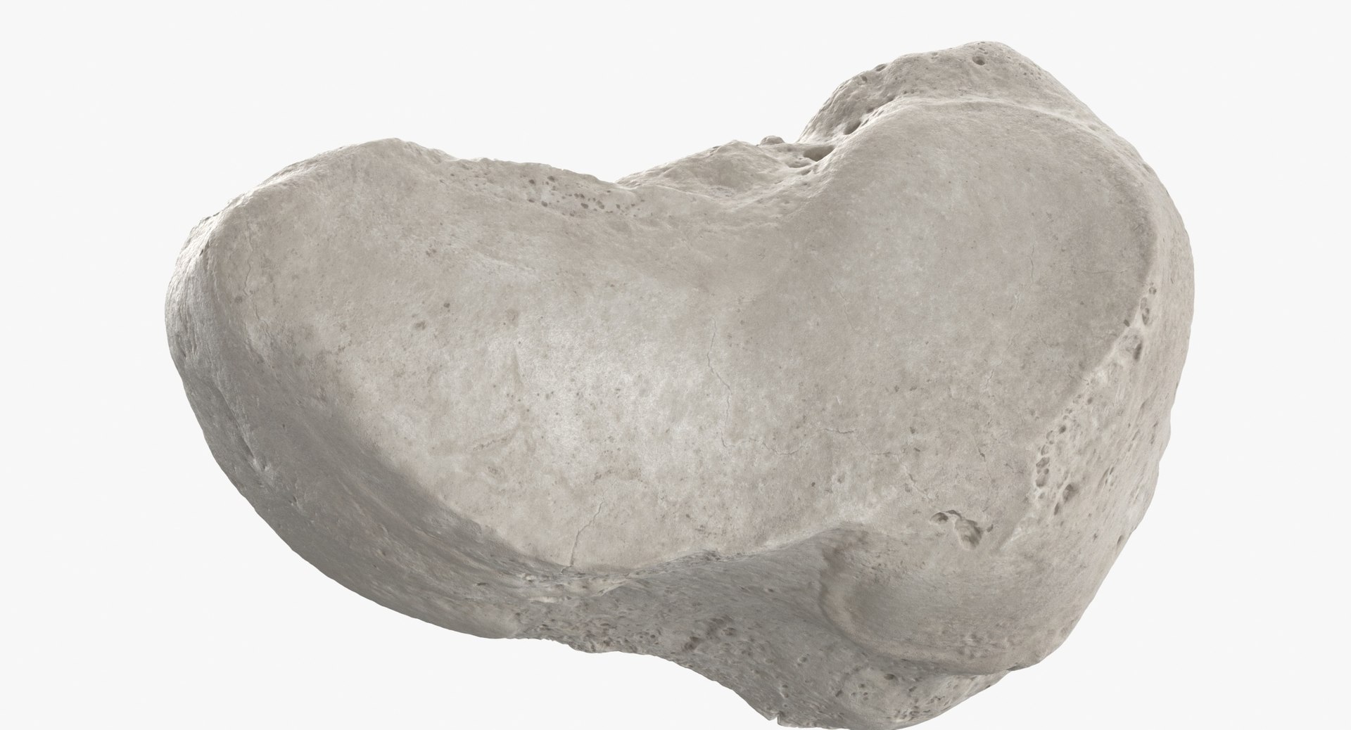 3D Cuneiform Bone Medial 01 - TurboSquid 1548934