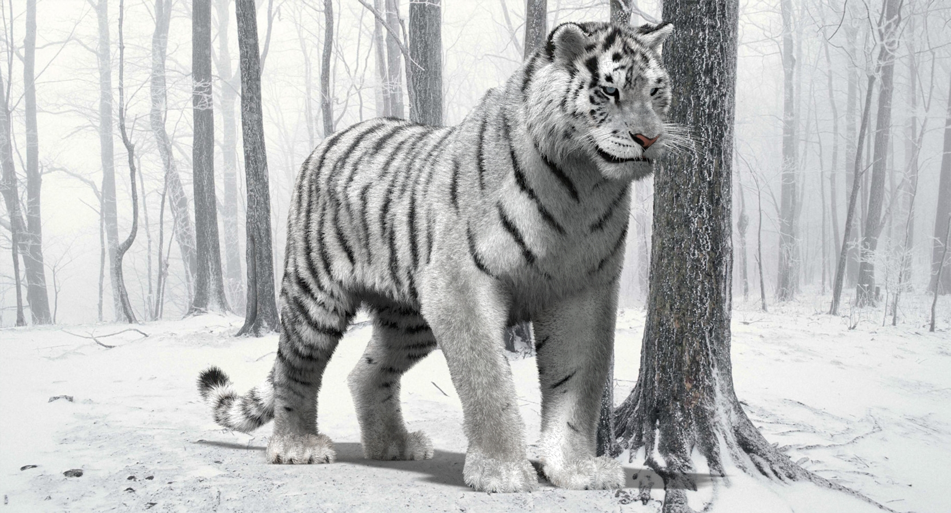 max tiger white rigged cat