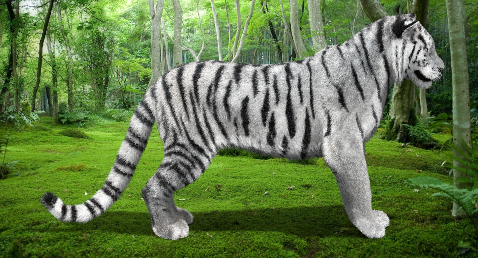 max tiger white rigged cat