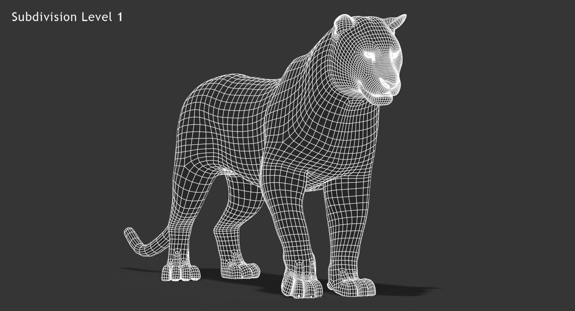 max tiger white rigged cat