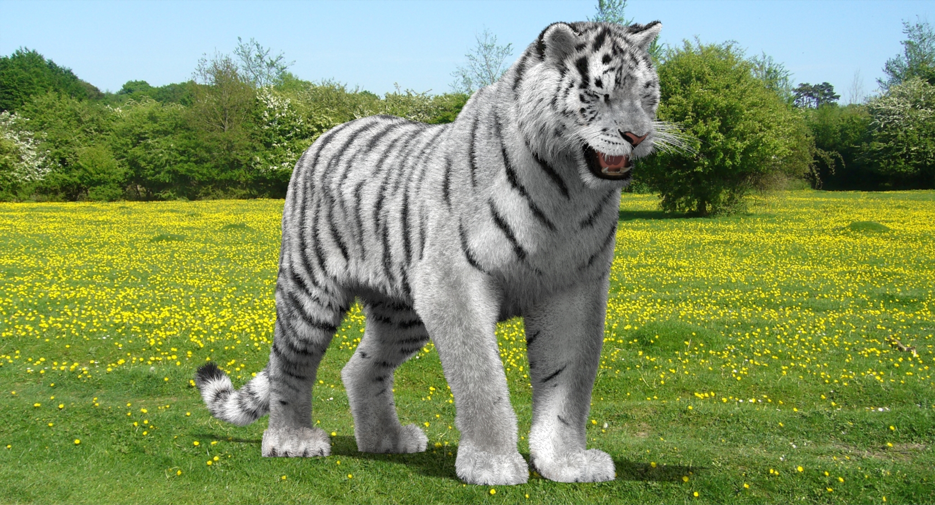 max tiger white rigged cat