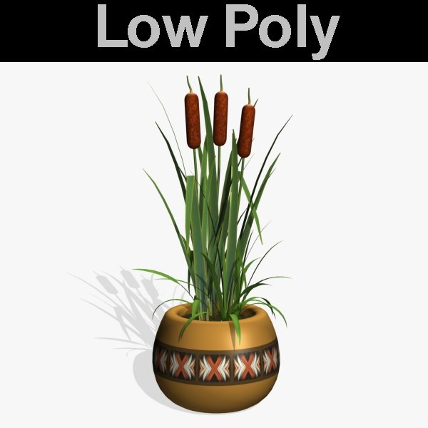 Free 3D Cat-Tail Models | TurboSquid