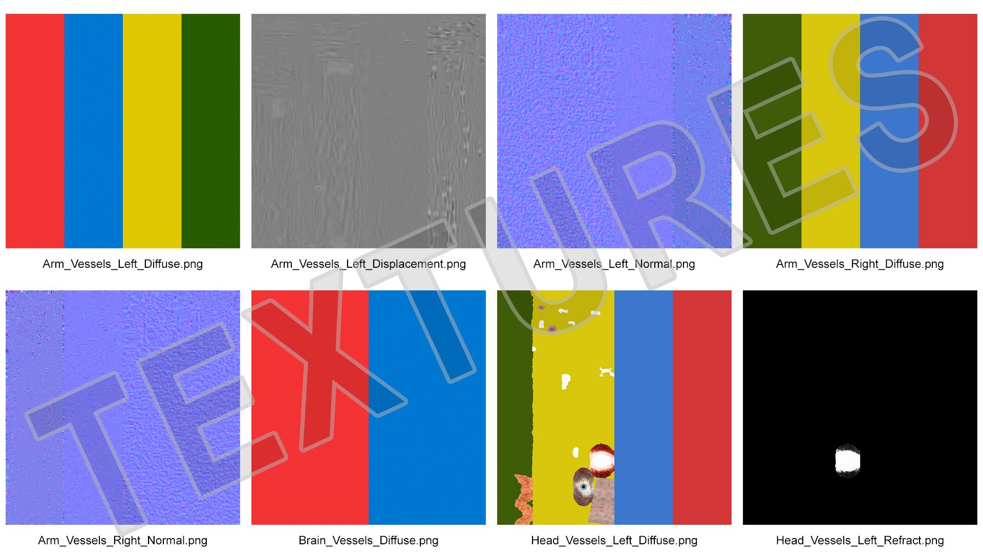 3D Girl Circulatory System - TurboSquid 1957276