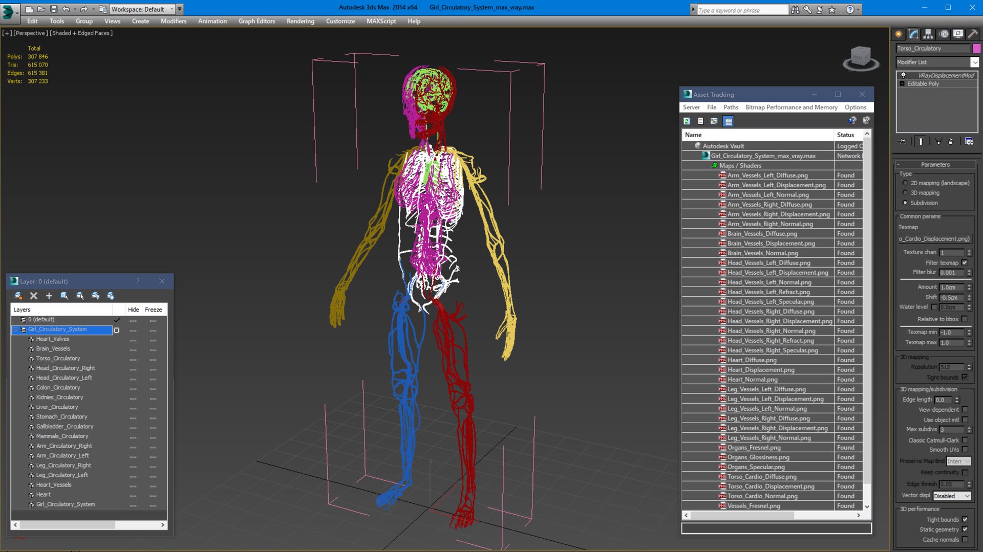 3D Girl Circulatory System - TurboSquid 1957276
