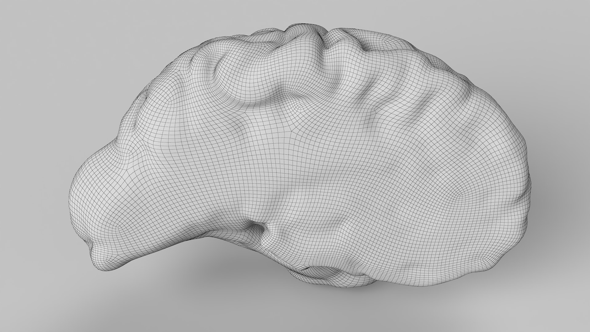 Human Brain Collection 3D - TurboSquid 2144968