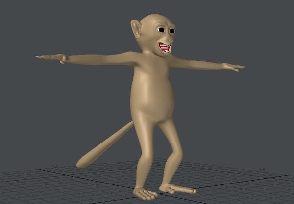 3D Capuchin Models | TurboSquid