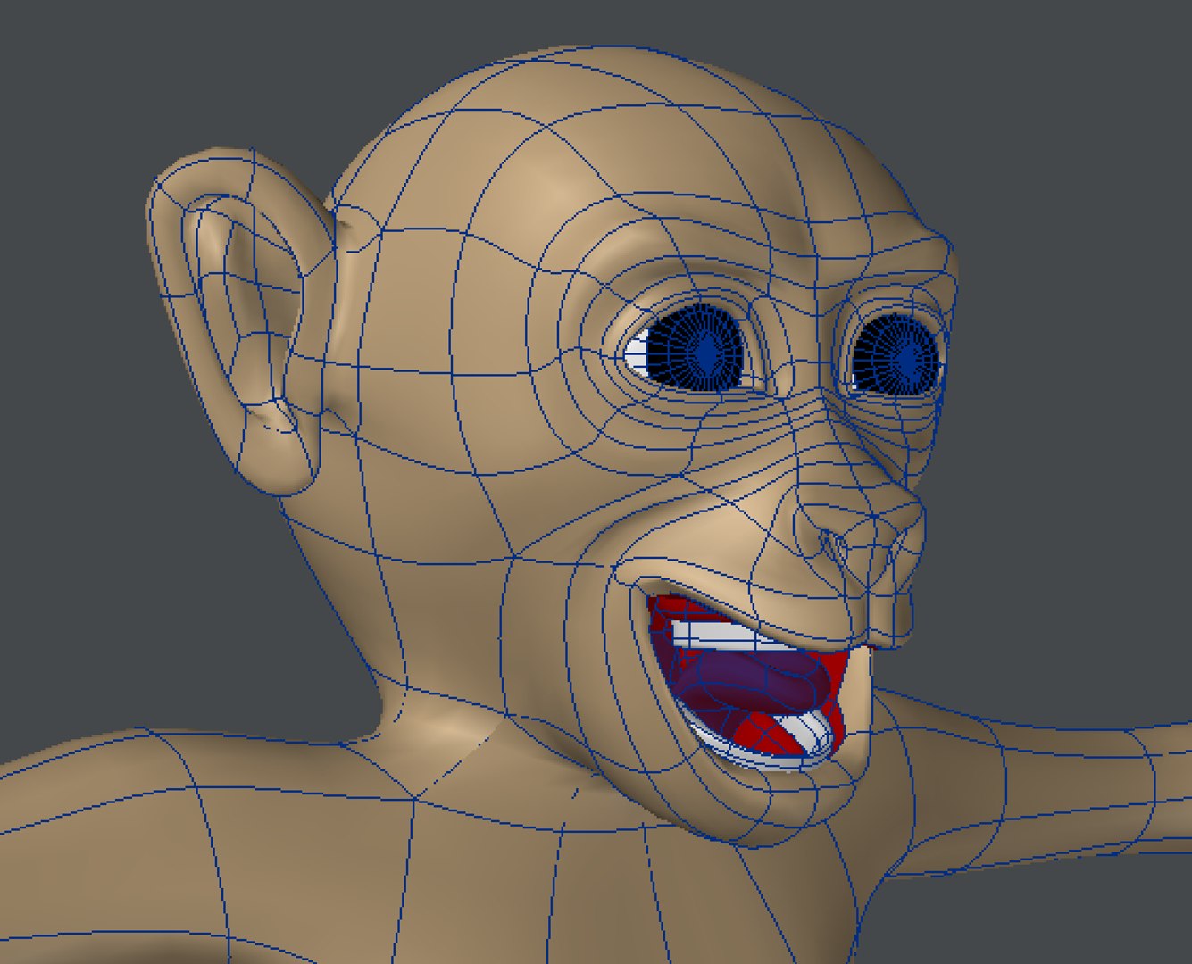 Capuchin Monkey 3d Model