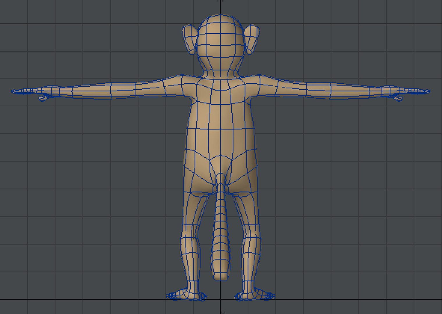 Capuchin Monkey 3d Model