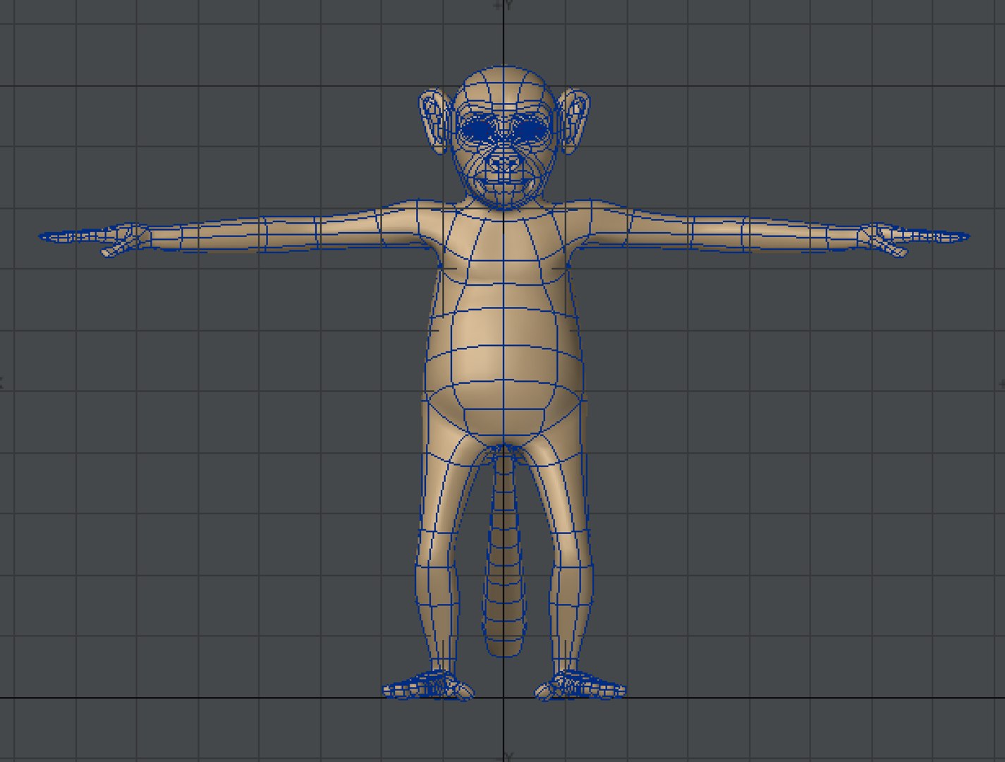 Capuchin Monkey 3d Model