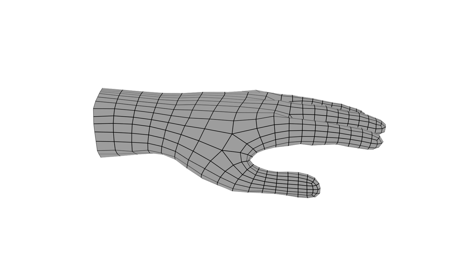 3D Hand Base Mesh - TurboSquid 2152404