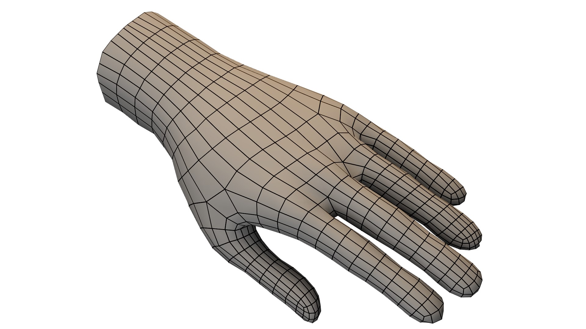 3D Hand Base Mesh - TurboSquid 2152404