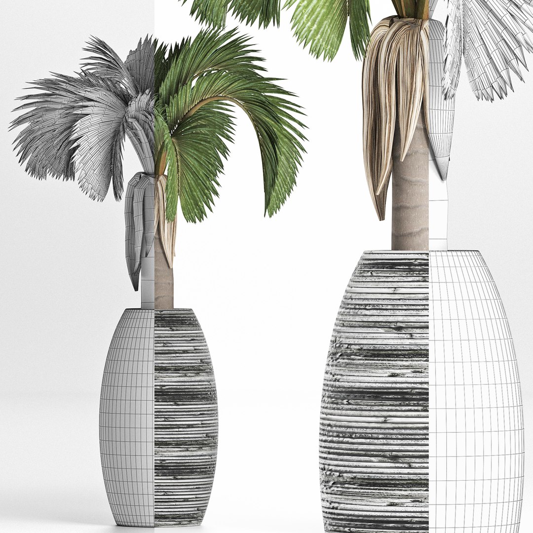 3D Palm Plants Model - TurboSquid 1685276