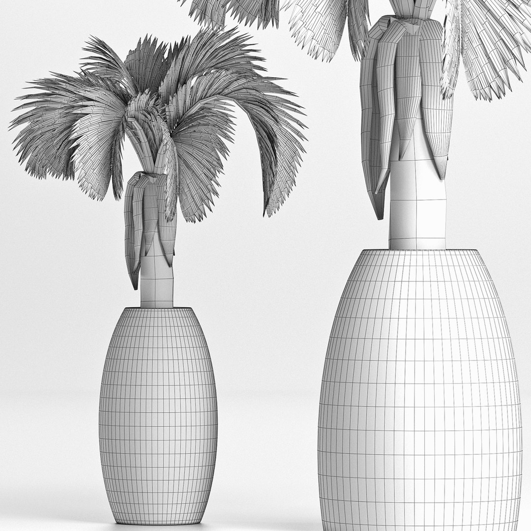 3D Palm Plants Model - TurboSquid 1685276