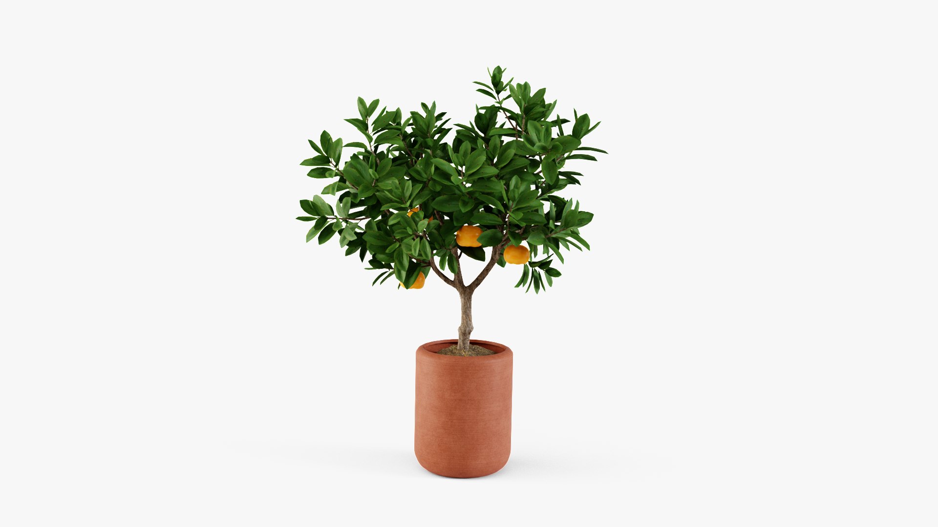 Plant Design Modeled 3D - TurboSquid 1485037