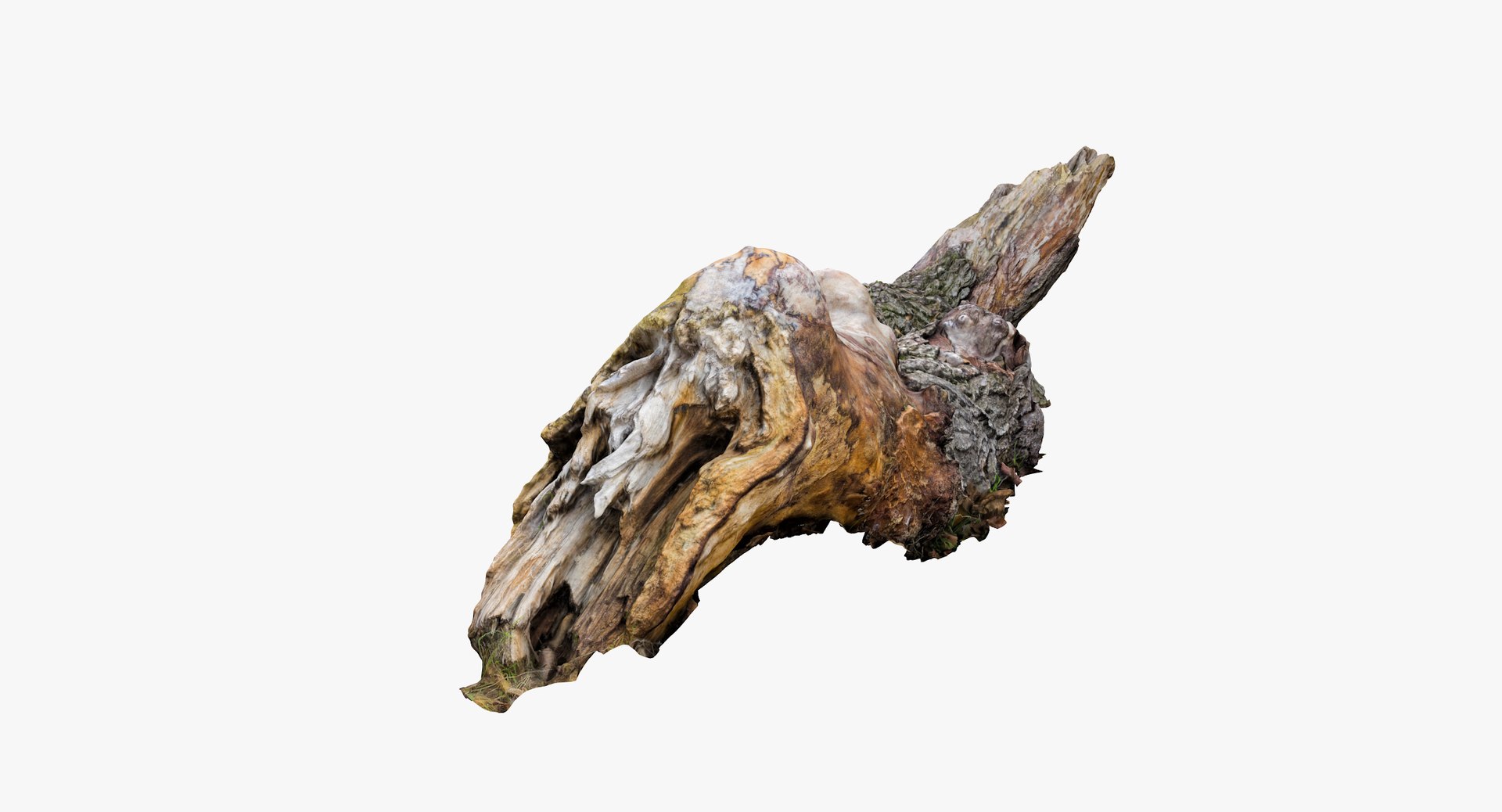 3D Model Rotten Branch - TurboSquid 1248002