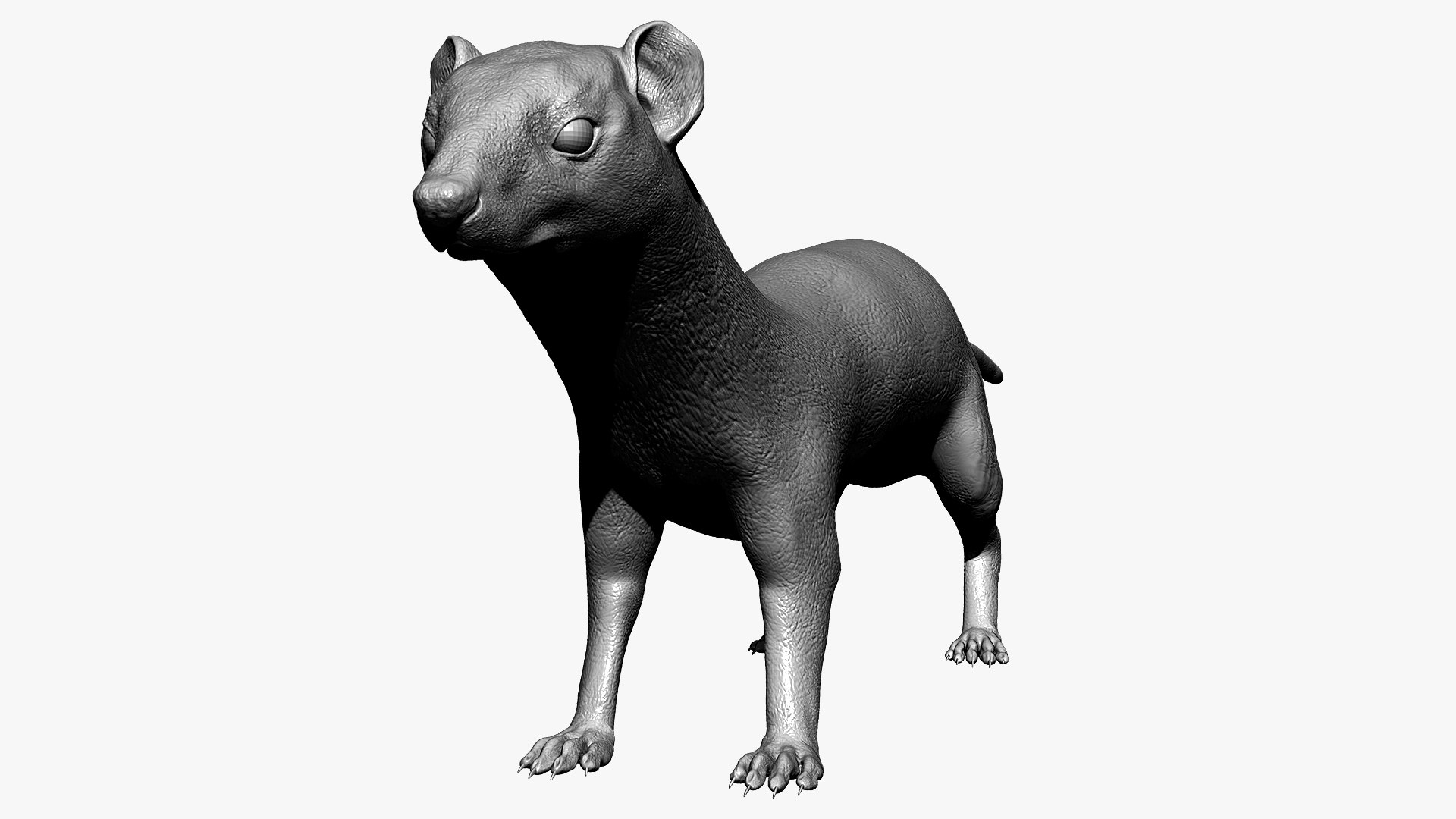 Weasel model - TurboSquid 1745716