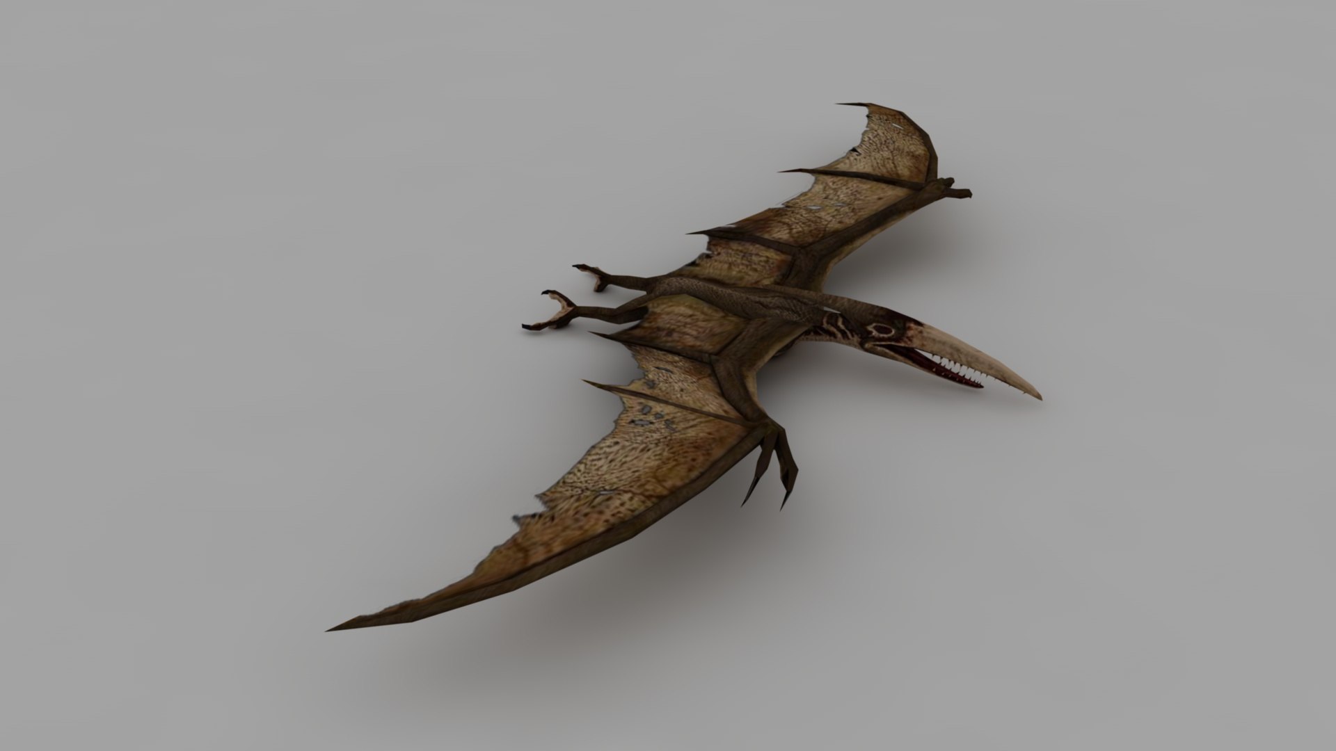 Pteranodon 3D Model - TurboSquid 1886498