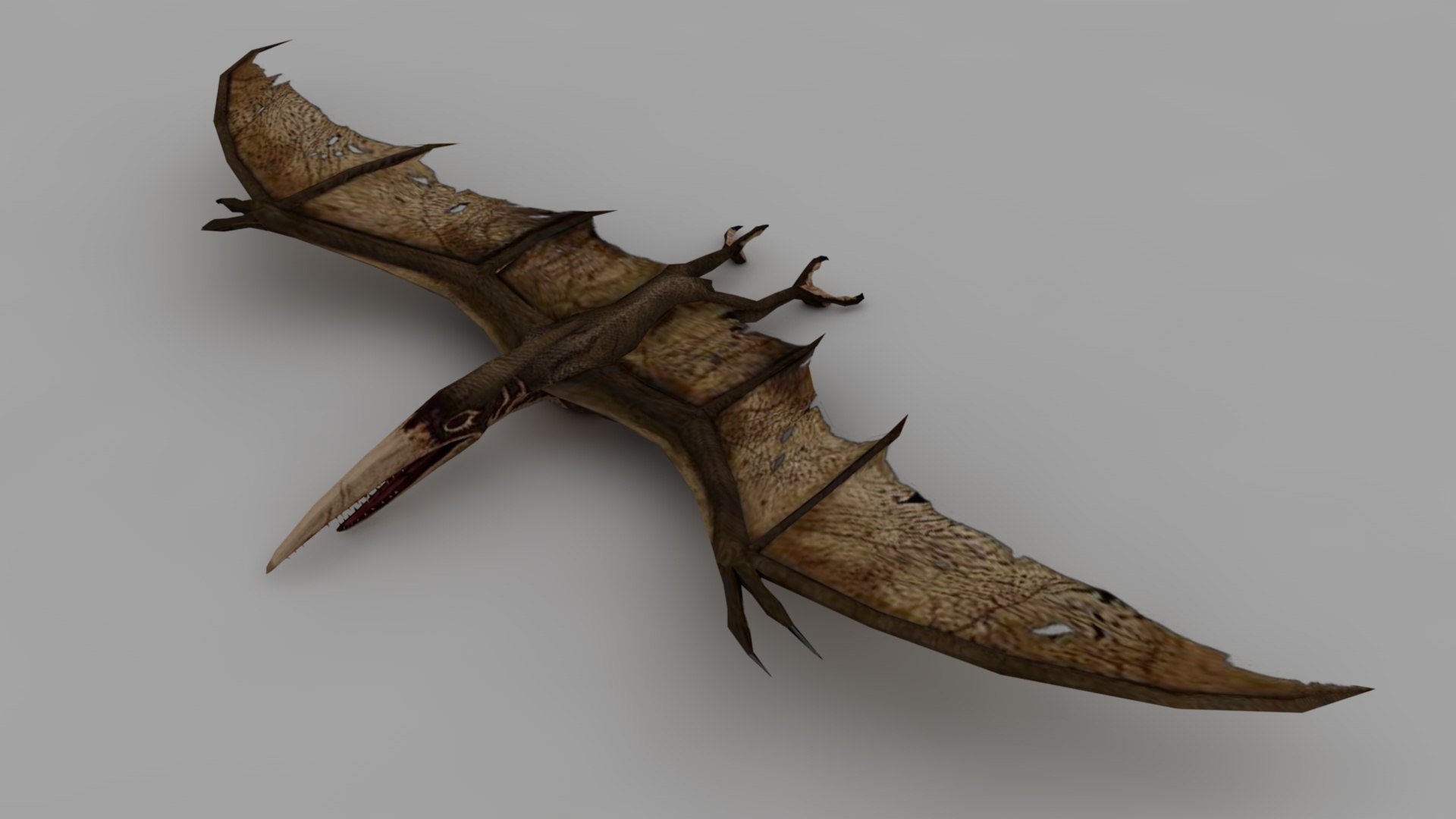 Pteranodon 3D Model - TurboSquid 1886498
