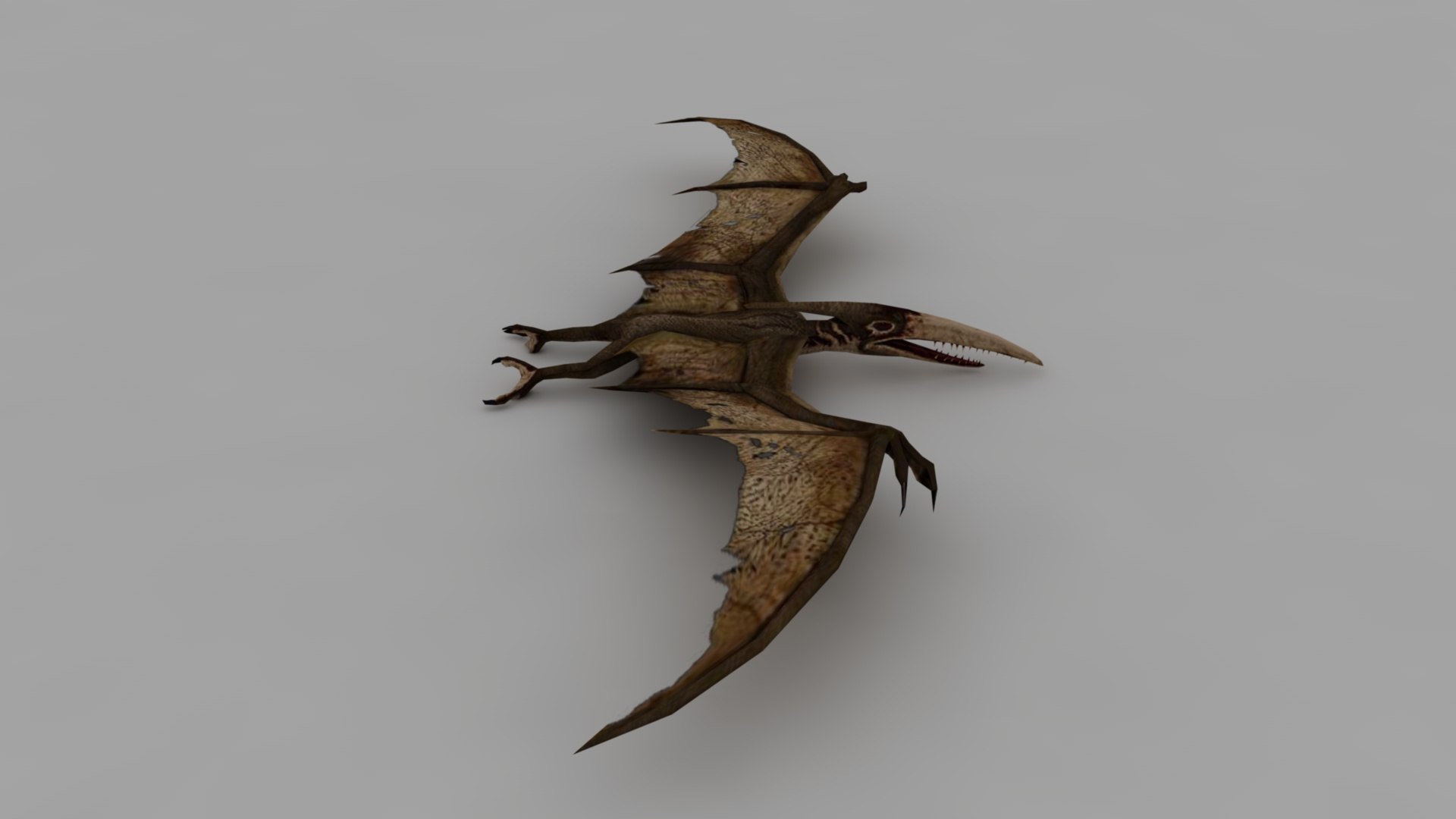Pteranodon 3D Model - TurboSquid 1886498