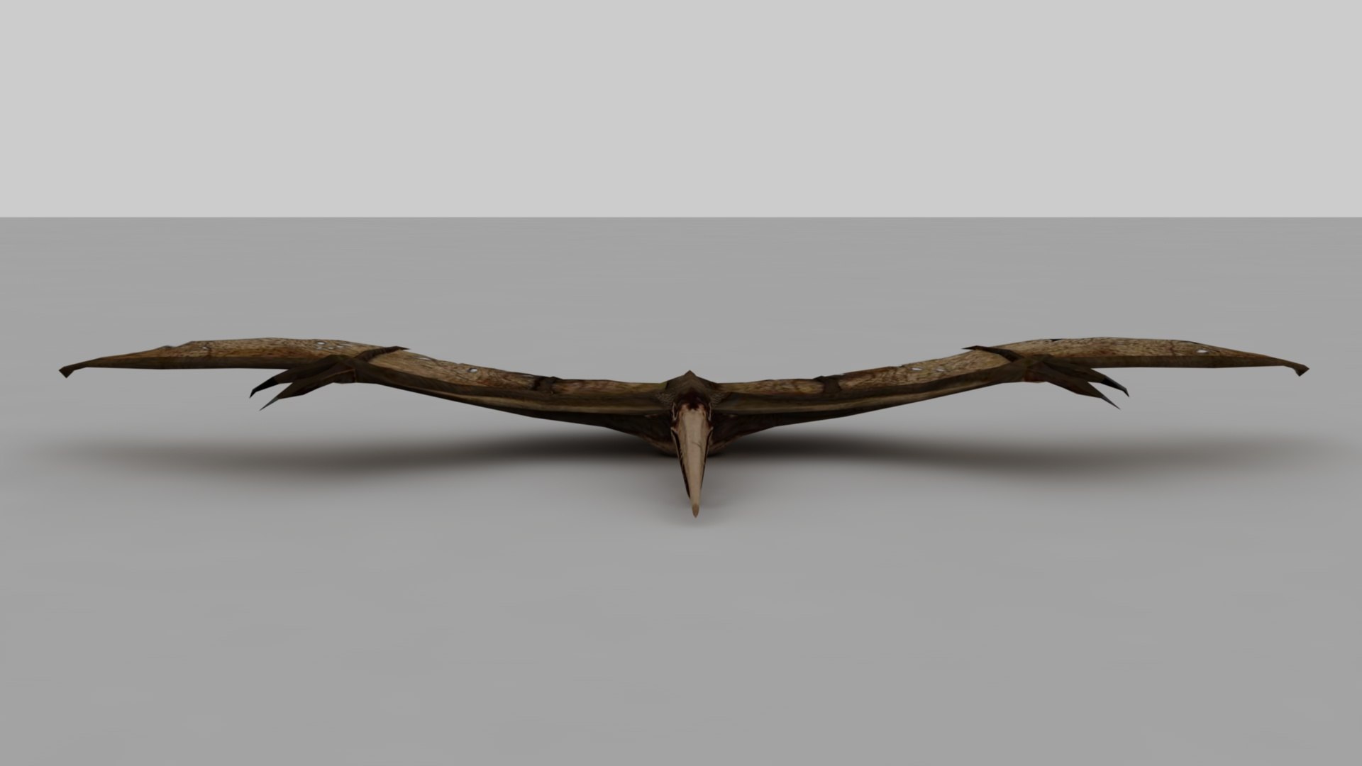Pteranodon 3D Model - TurboSquid 1886498