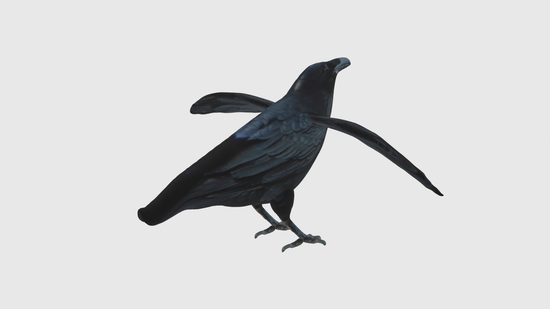 3D Model Low Poly Raven Rigged With Realistic Texture - TurboSquid 1875996