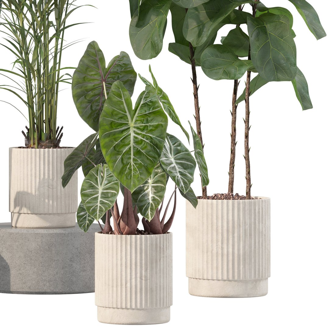 20 Photorealistic Flowers For Interiors - Set 201 205 209 214 3D ...