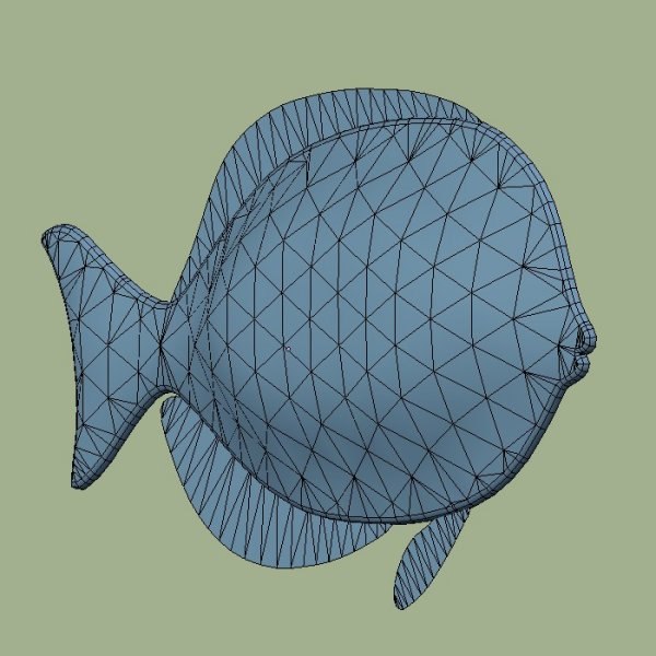 3d wall tropical fish fg model