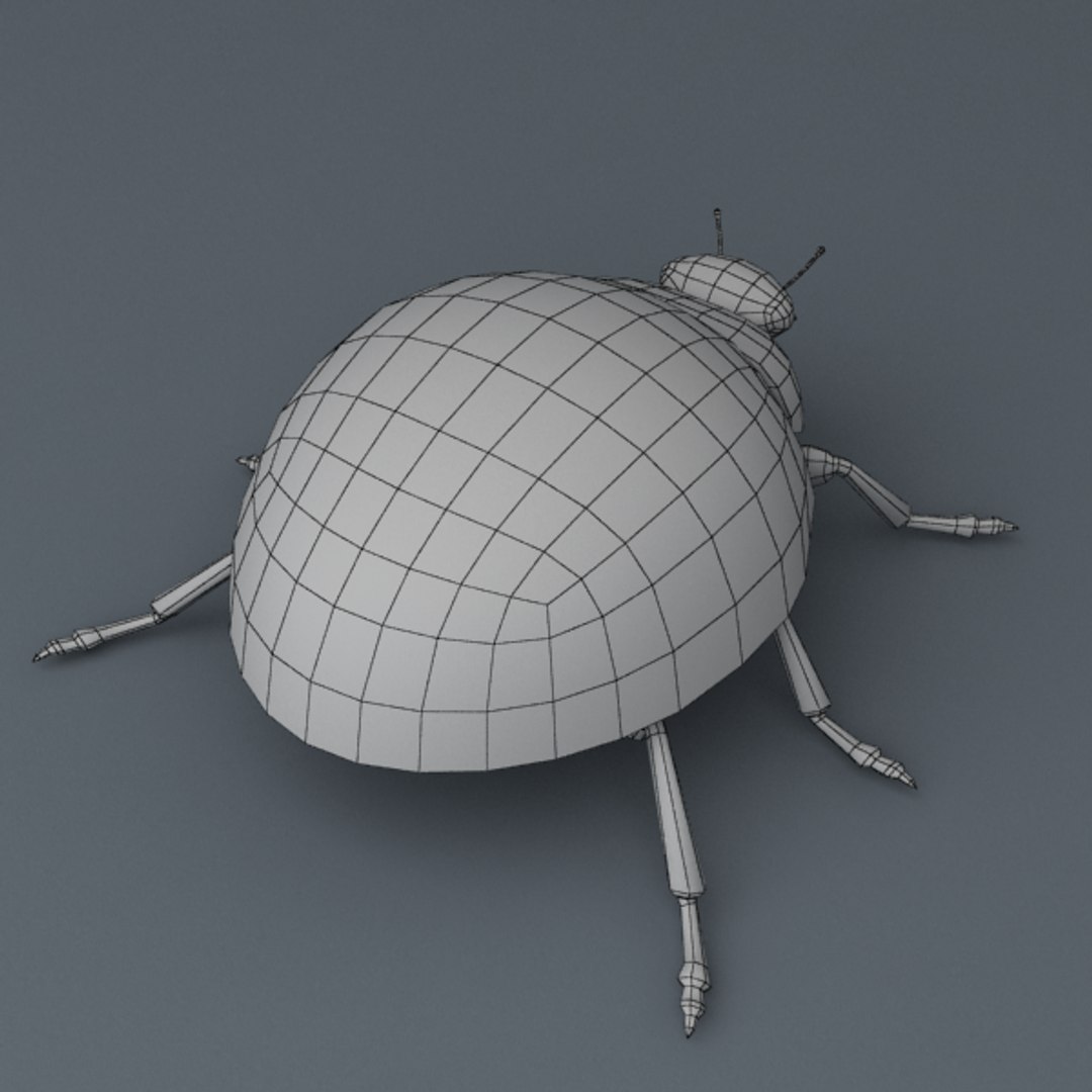 3d Model Rigged Ladybug